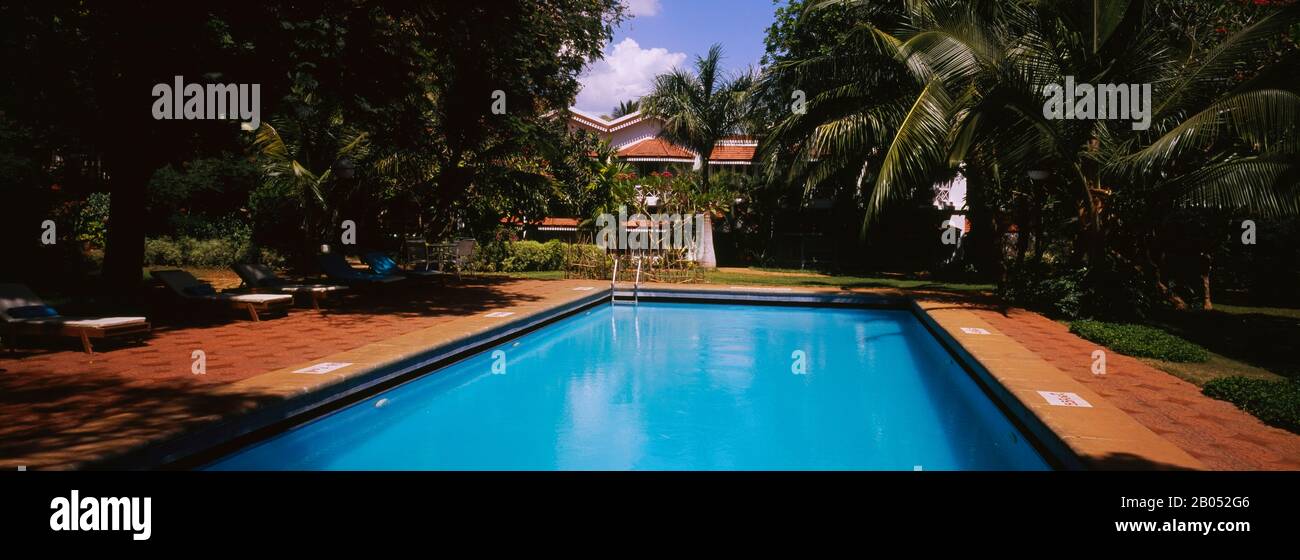 Palm trees near a swimming pool in a hotel, Taj Garden Retreat, Madurai ...
