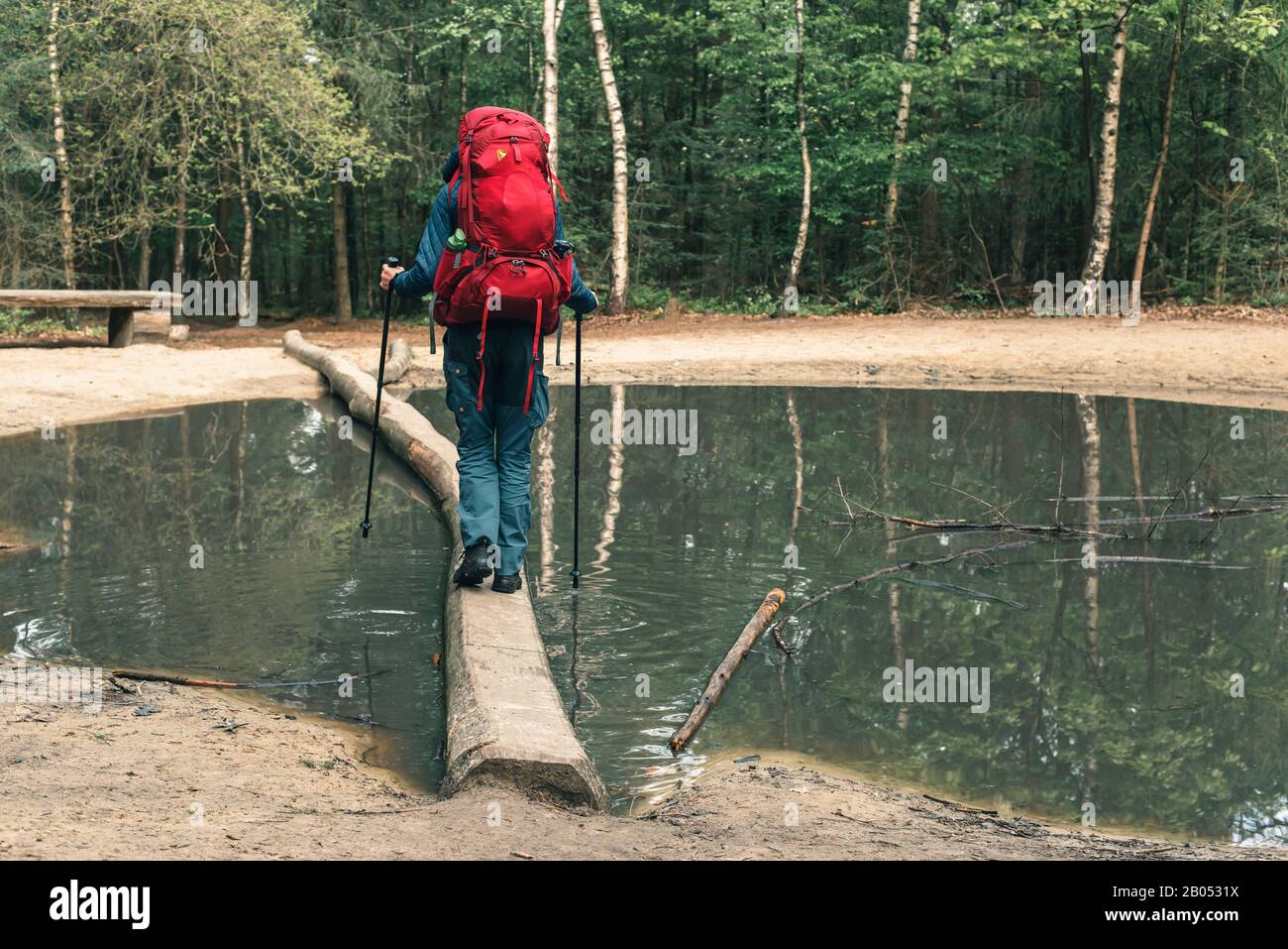 Walking over trunk fallen tree hi-res stock photography and images - Alamy