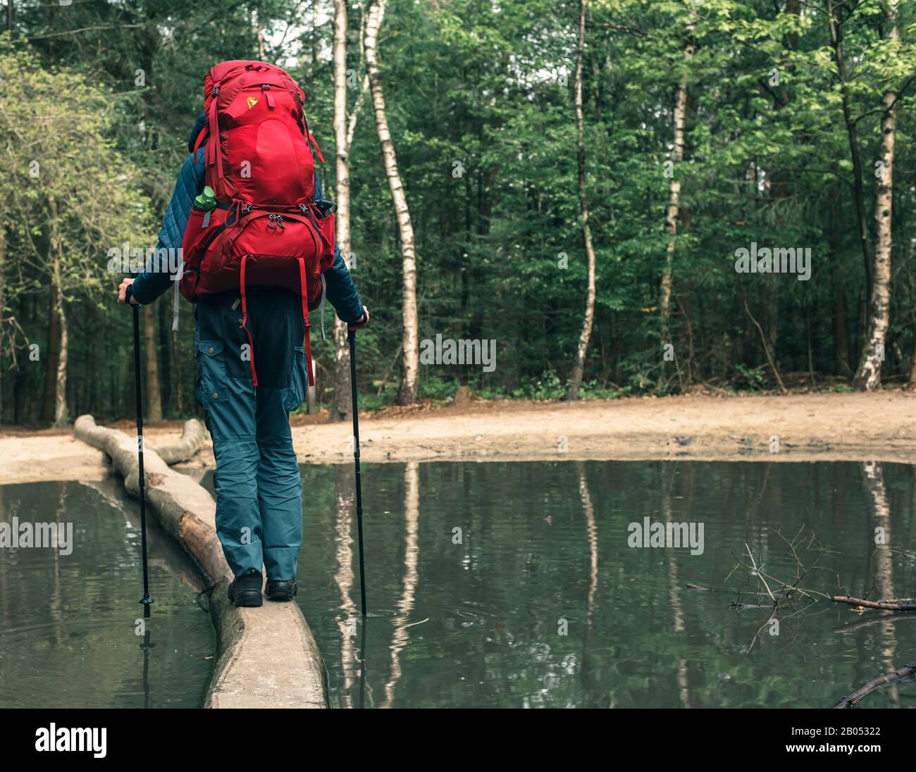 Walking over trunk fallen tree hi-res stock photography and images - Alamy