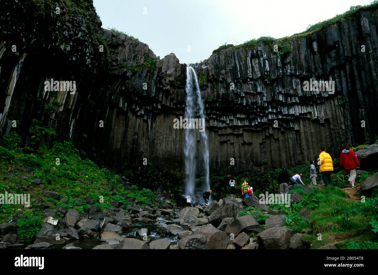 ICELAND, SOUTH COAST, SKAFTAFELL NATIONAL PARK, SVARTIFOSS WATERFALL ...