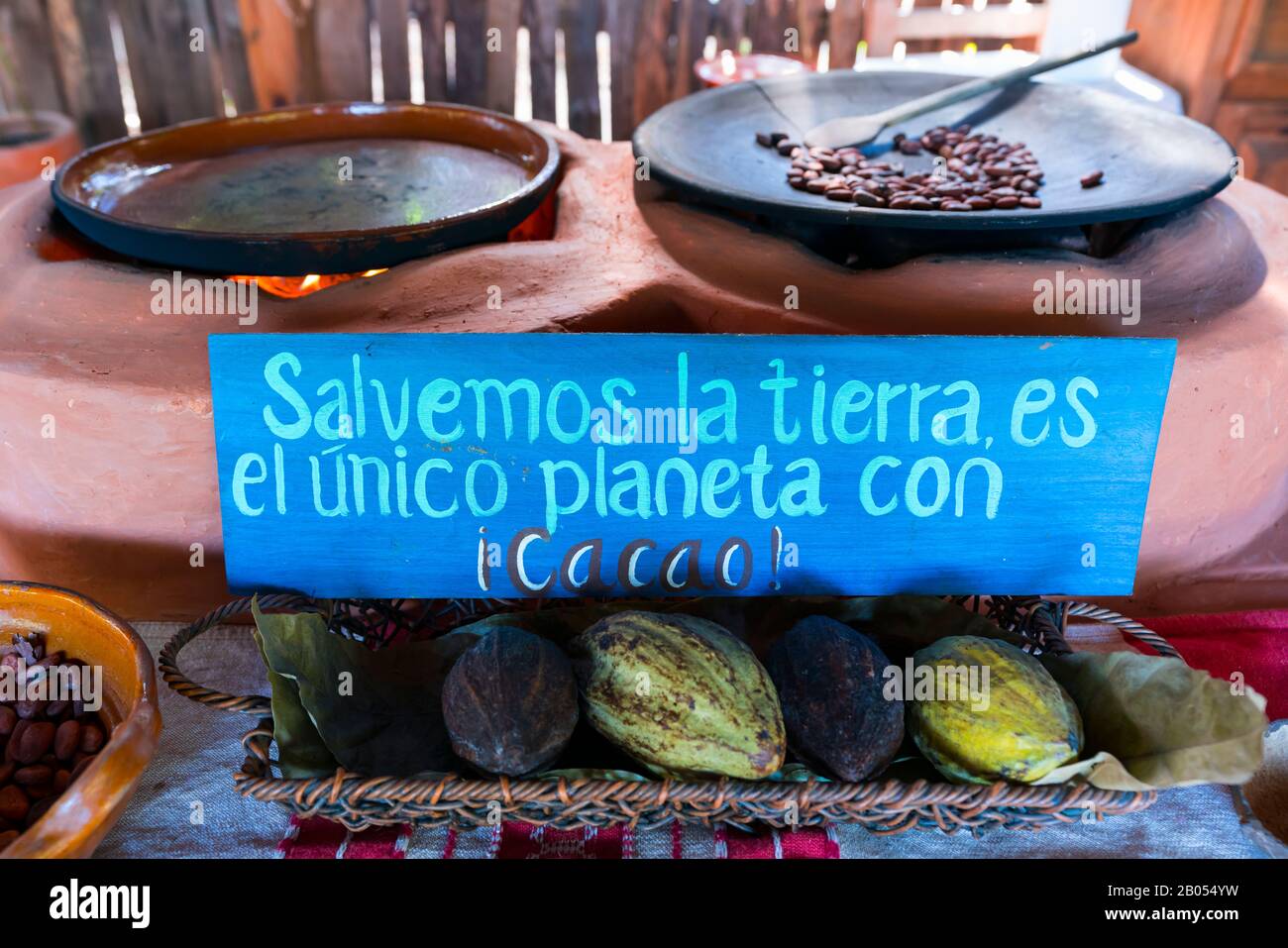 Cocoa Planet cultural experience, ecotourism, El Tondoroque village ...