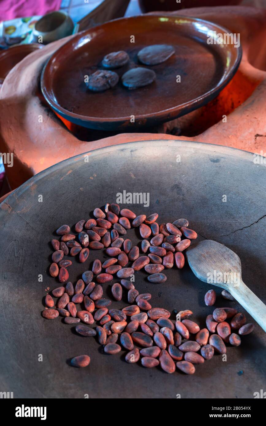 Cocoa Planet cultural experience, ecotourism, El Tondoroque village ...