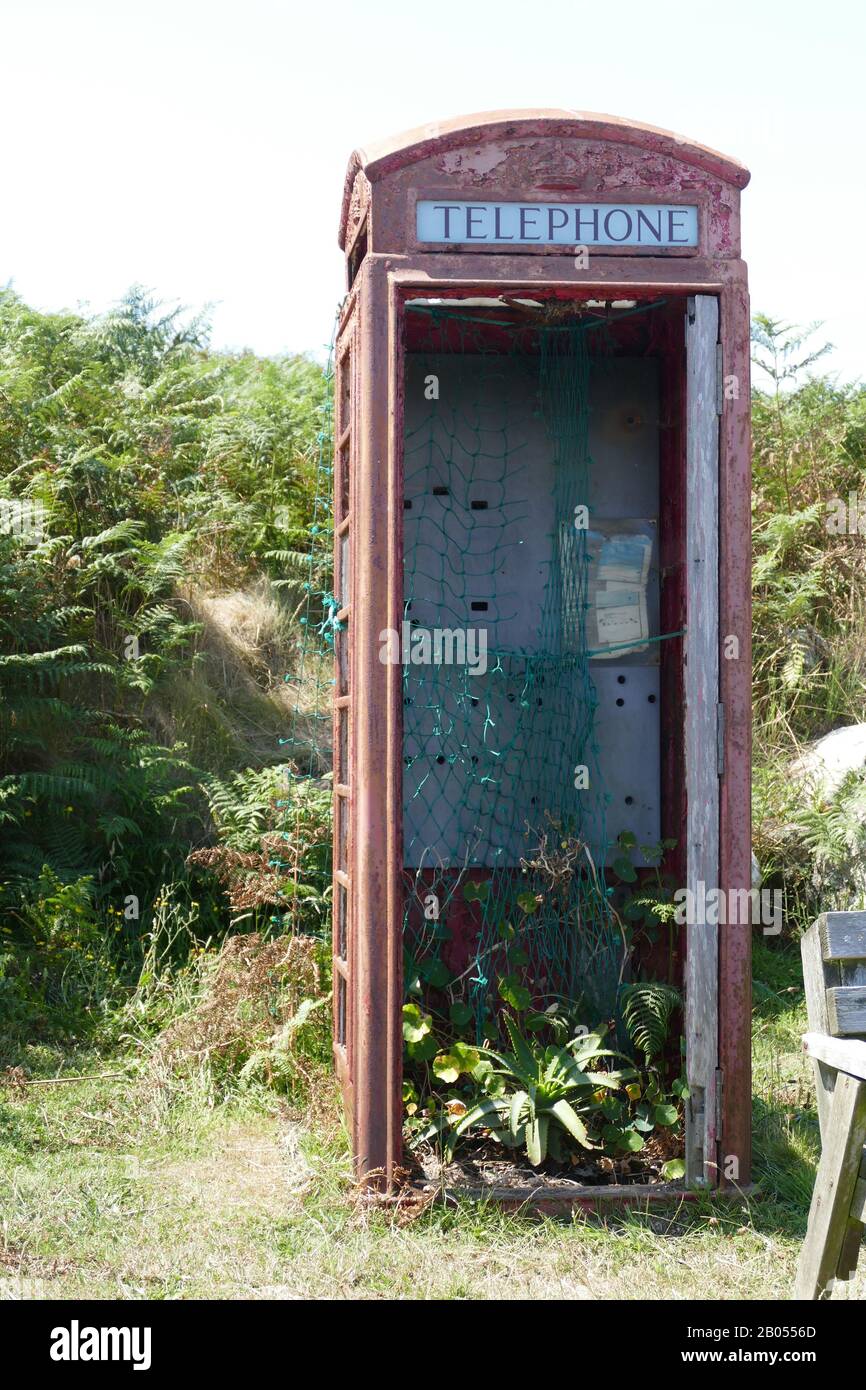 Red telephone box overgrown plants hi-res stock photography and images ...