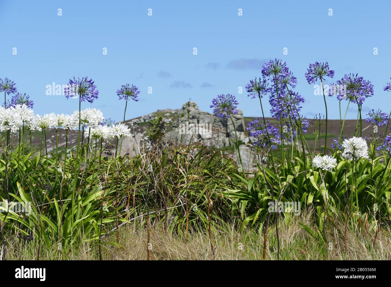 Bryher, Isles of Scilly, Cornwall, U.K Stock Photo - Alamy