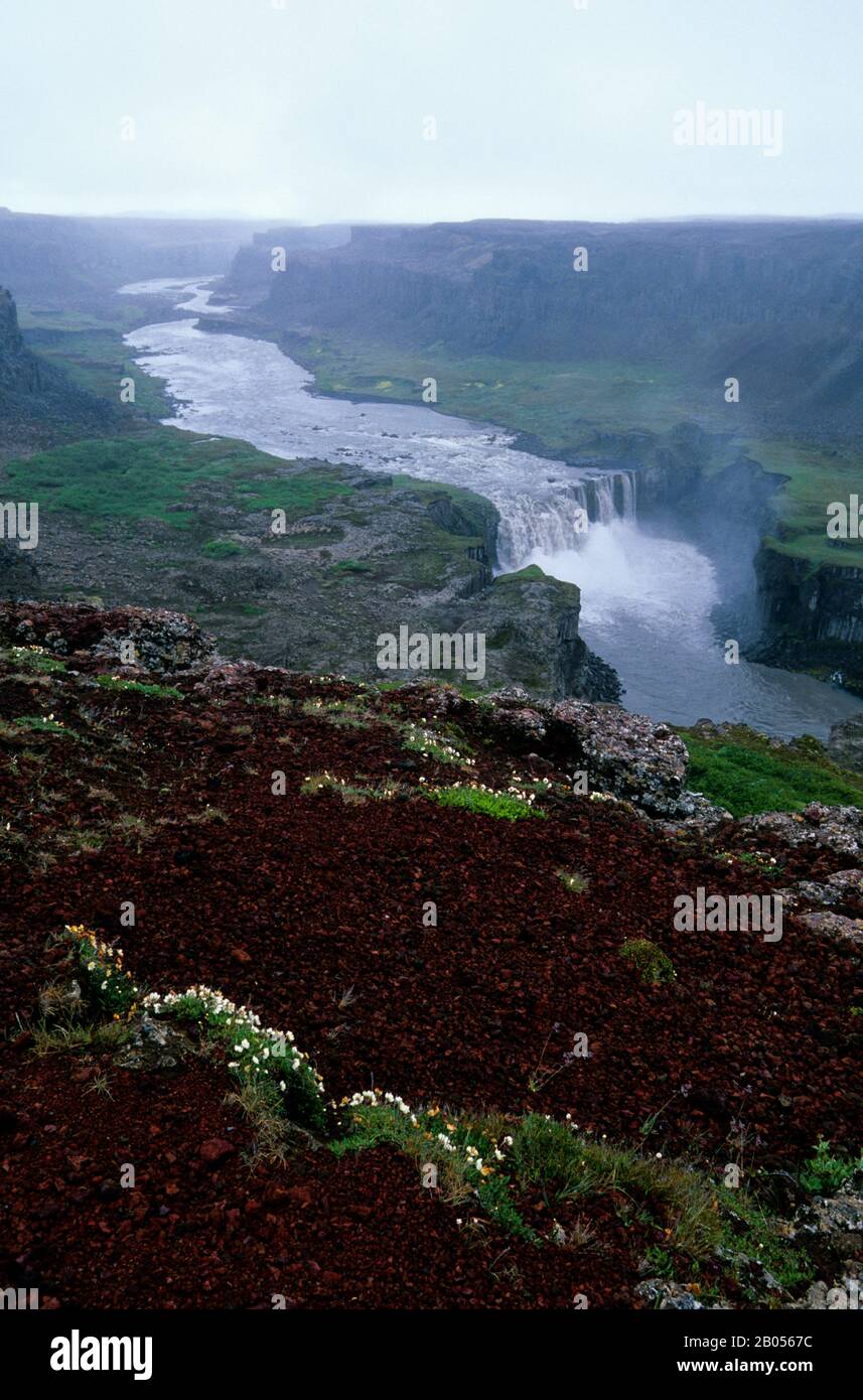 ICELAND, NORTHERN PART, VIEW OF HAFRAGILSFOSS WATERFALL Stock Photo - Alamy