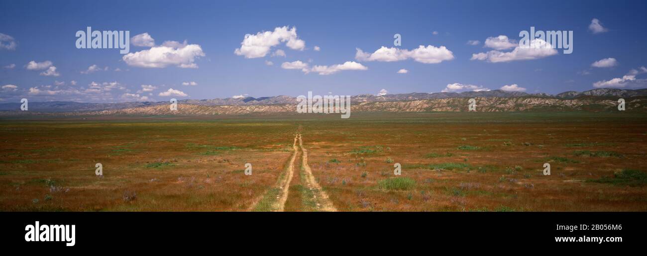 Dirt road passing through a landscape, Carrizo Plain, Kern County ...