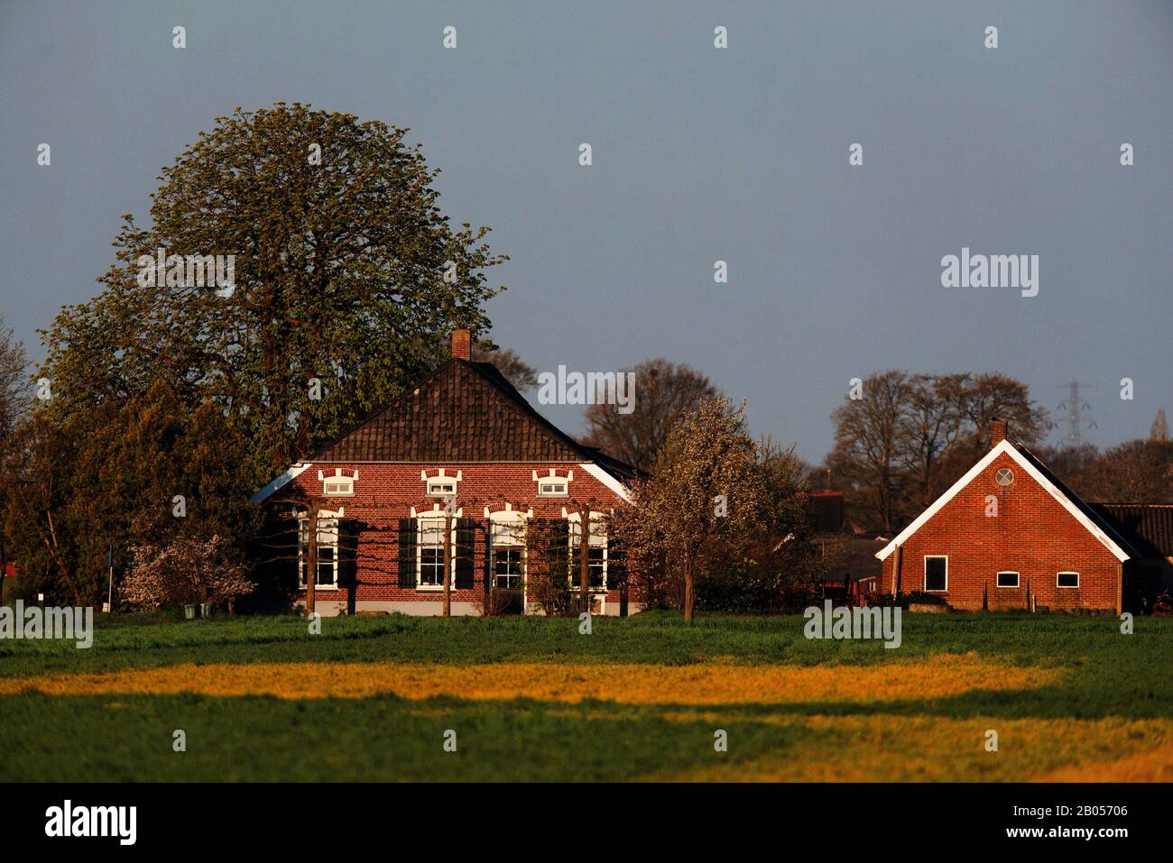 Old dutch farmhouse with barn in evening sunlight in early spring Stock ...