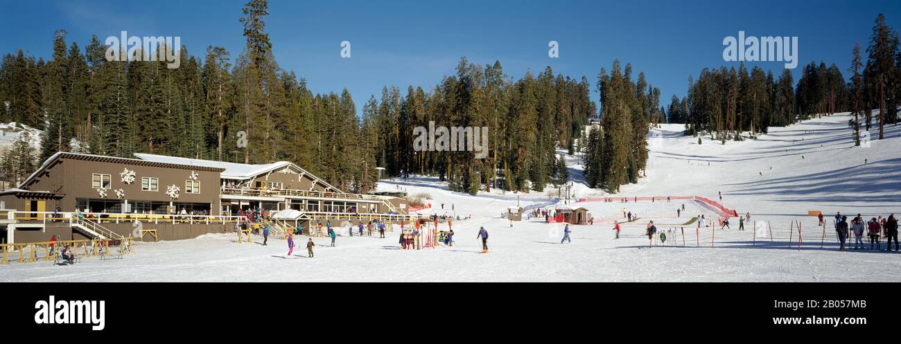 Group of people skiing, Badger Pass Ski Area, Yosemite National Park ...