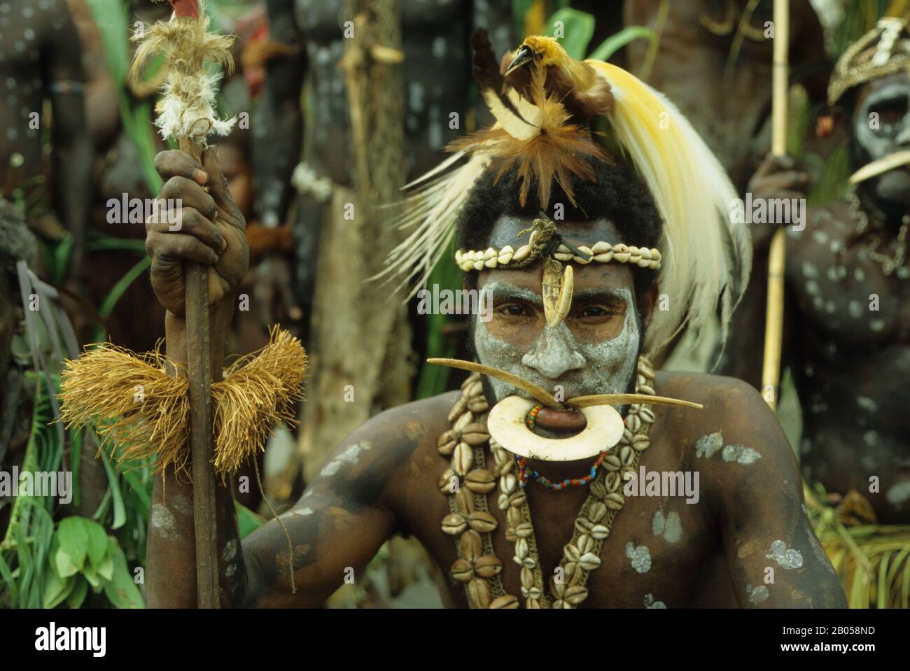 PAPUA NEW GUINEA, SEPIK RIVER, MAN IN TRADITIONAL DRESS WITH BIRD OF ...