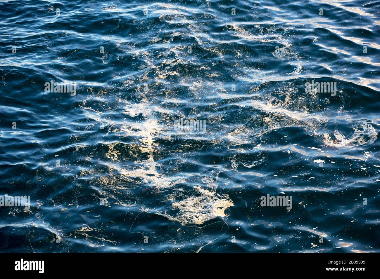 Whale poo from a Humpback Whale, off the Antarctic coast Stock Photo ...