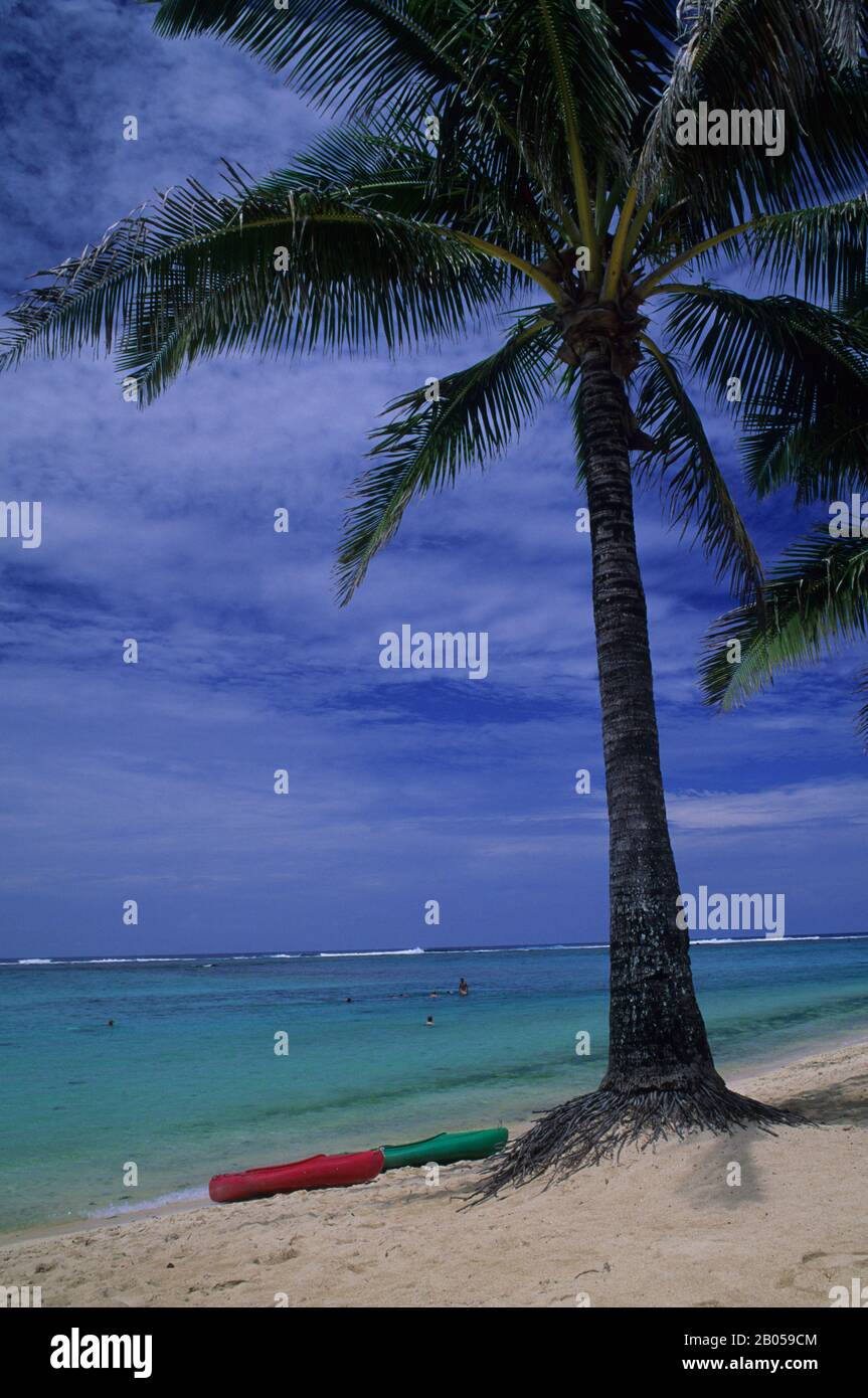 COOK ISLANDS, RAROTONGA, BEACH WITH COCONUT PALM TREE Stock Photo - Alamy