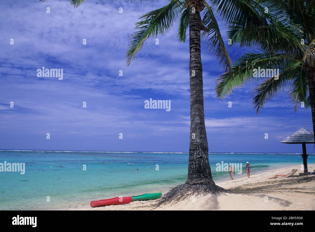 COOK ISLANDS, RAROTONGA, BEACH WITH COCONUT PALM TREE Stock Photo - Alamy
