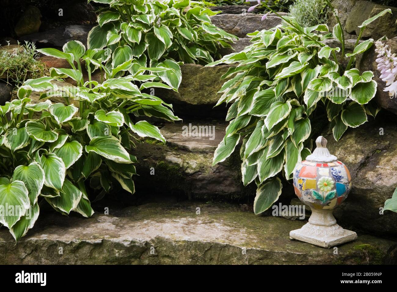 Checkered pattern decorative urn on natural stone steps bordered by ...