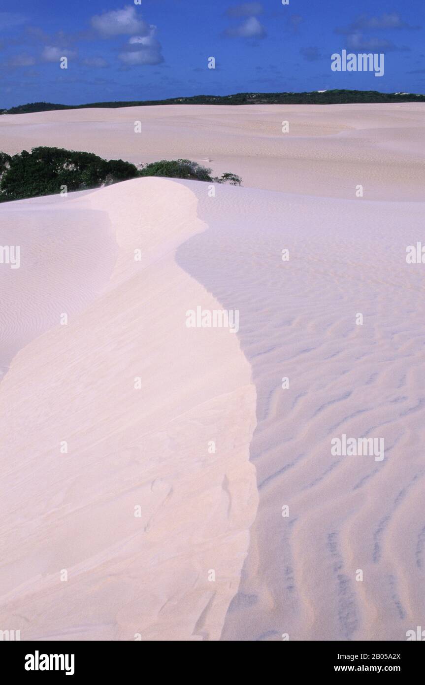 BRAZIL, NEAR NATAL, SAND DUNES Stock Photo - Alamy