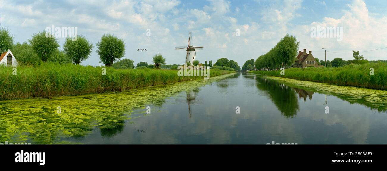Traditional windmill along with a canal, Damme, Belgium Stock Photo - Alamy