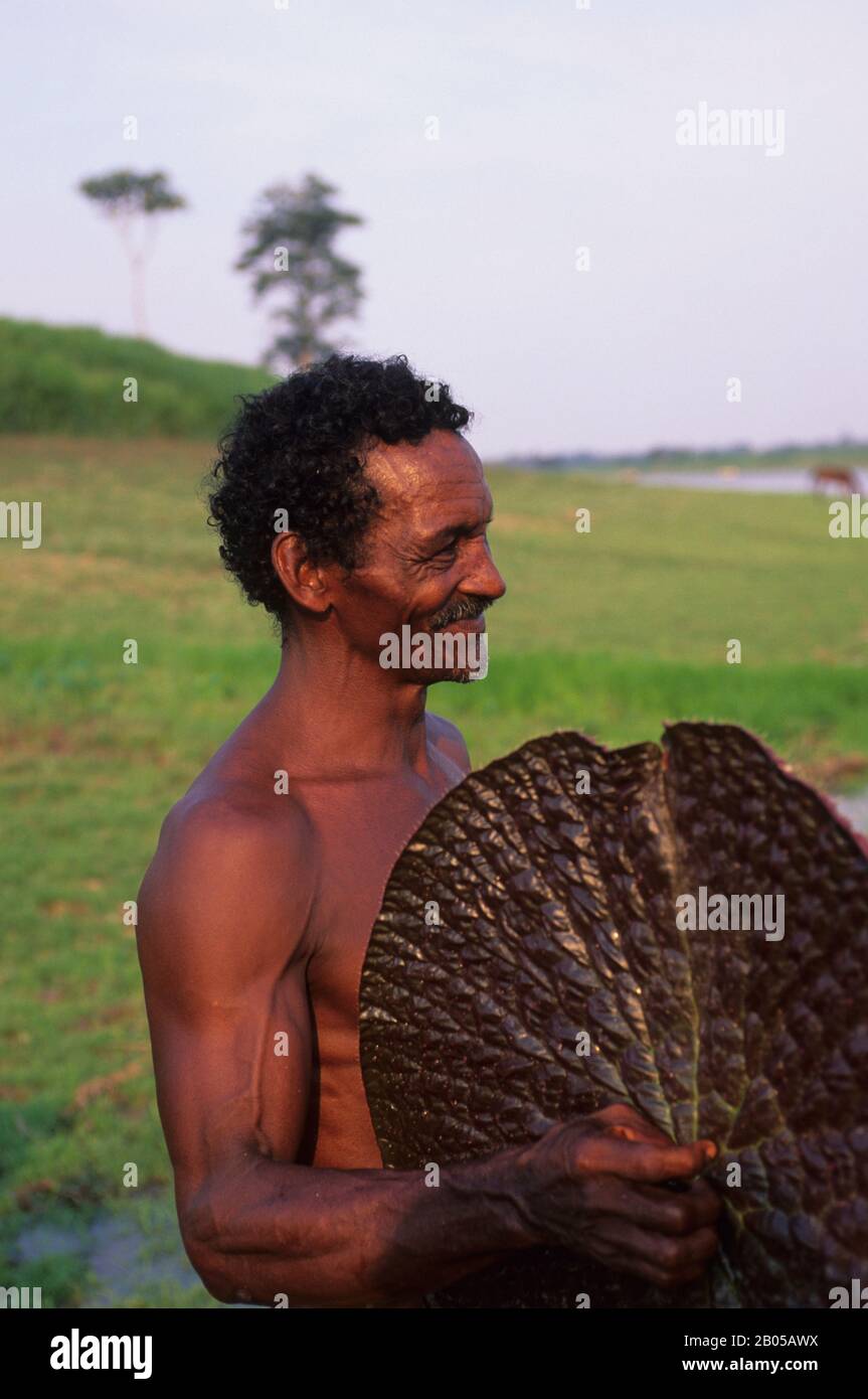 BRAZIL, AMAZON RIVER, RIO BALAIO, LOCAL MAN (CABOCOLO), VICTORIA ...
