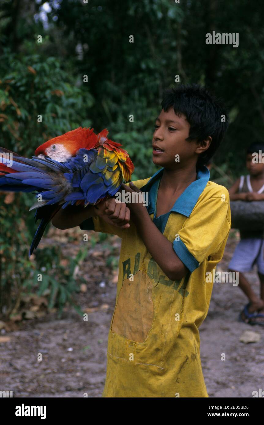 BRAZIL, AMAZON RIVER, NEAR ALTER DO CHAO, LOCAL CABOCOLO BOY WITH ...