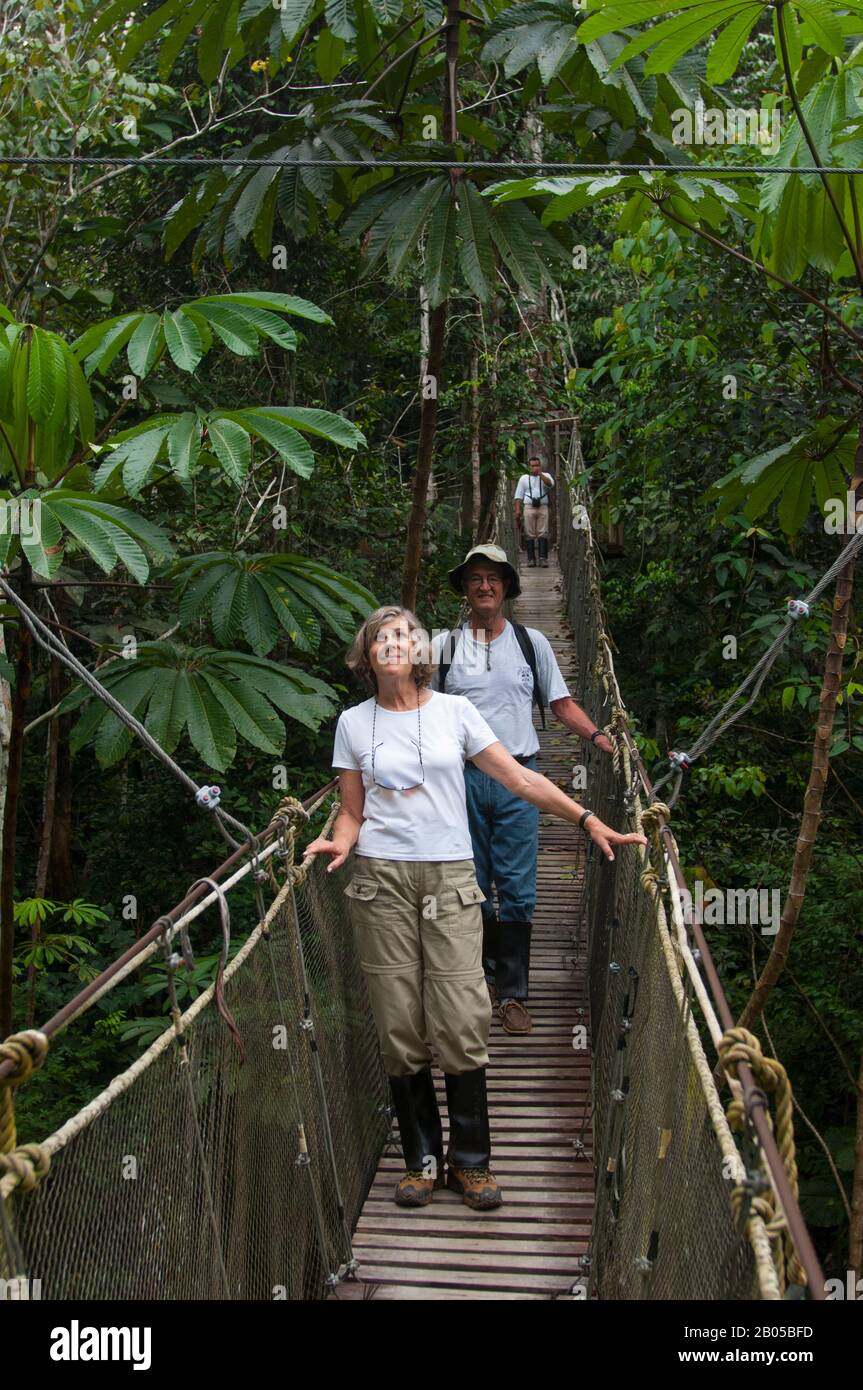 Canopy walkway amazon rainforest hi-res stock photography and images ...