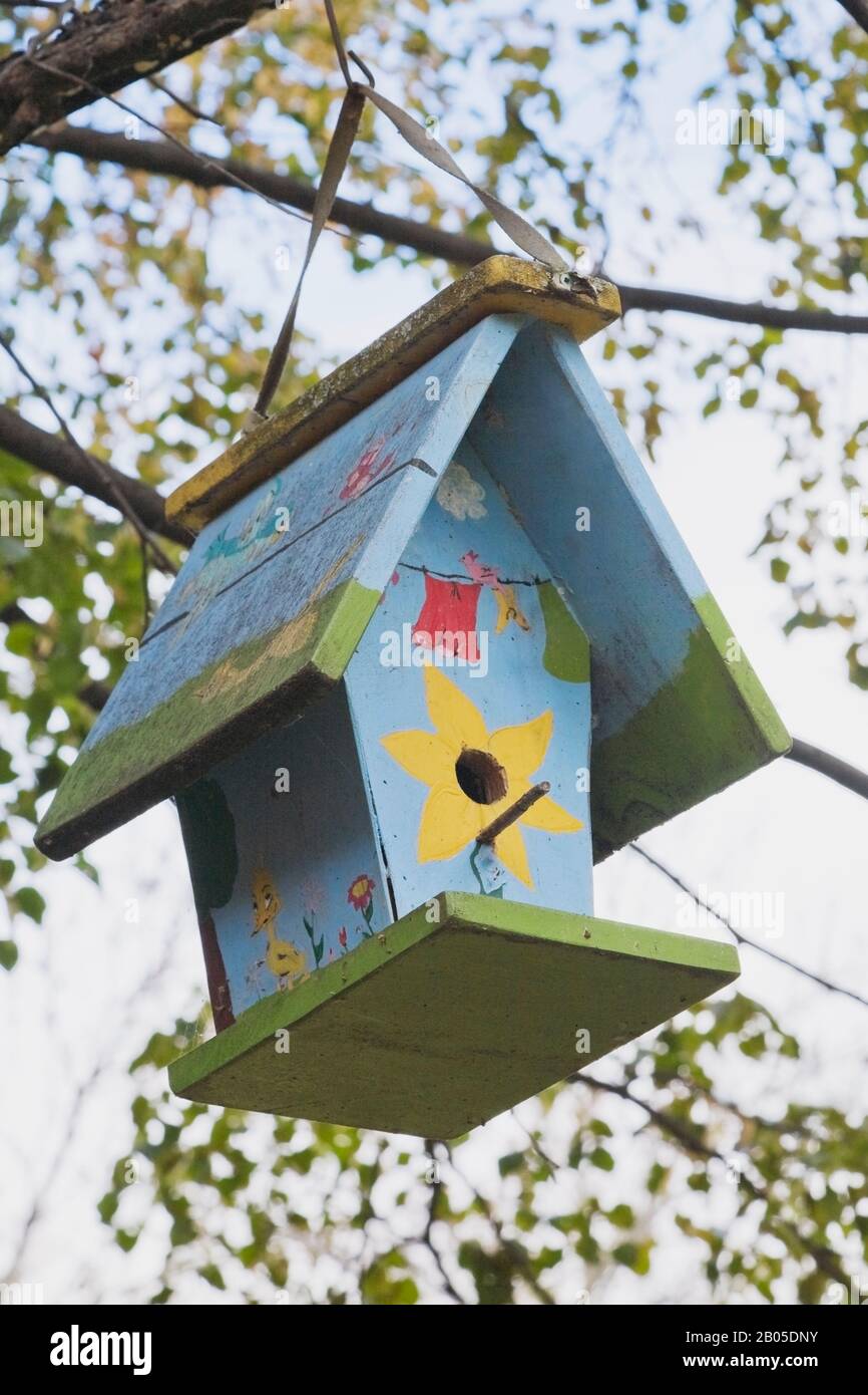 Blue, green and yellow painted wooden birdhouse hanging from a ...