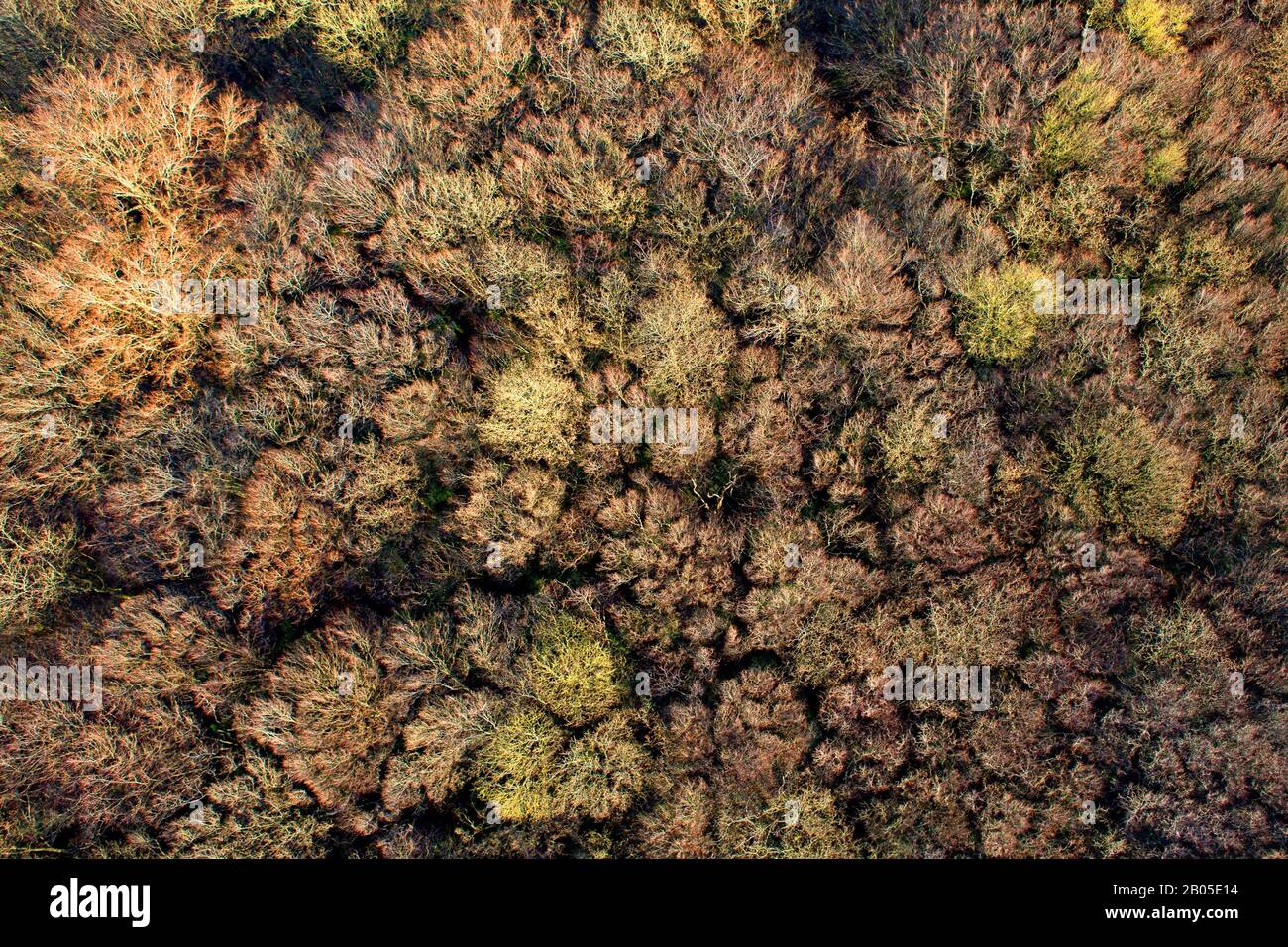 valley of Viroin, aerial view, Belgium, Ardennes, Dourbes, Viroin Stock ...
