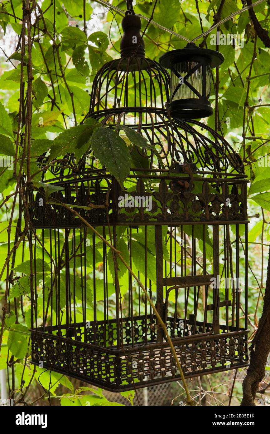 Silhouetted rusted metal birdcage outdoors in summer Stock Photo - Alamy