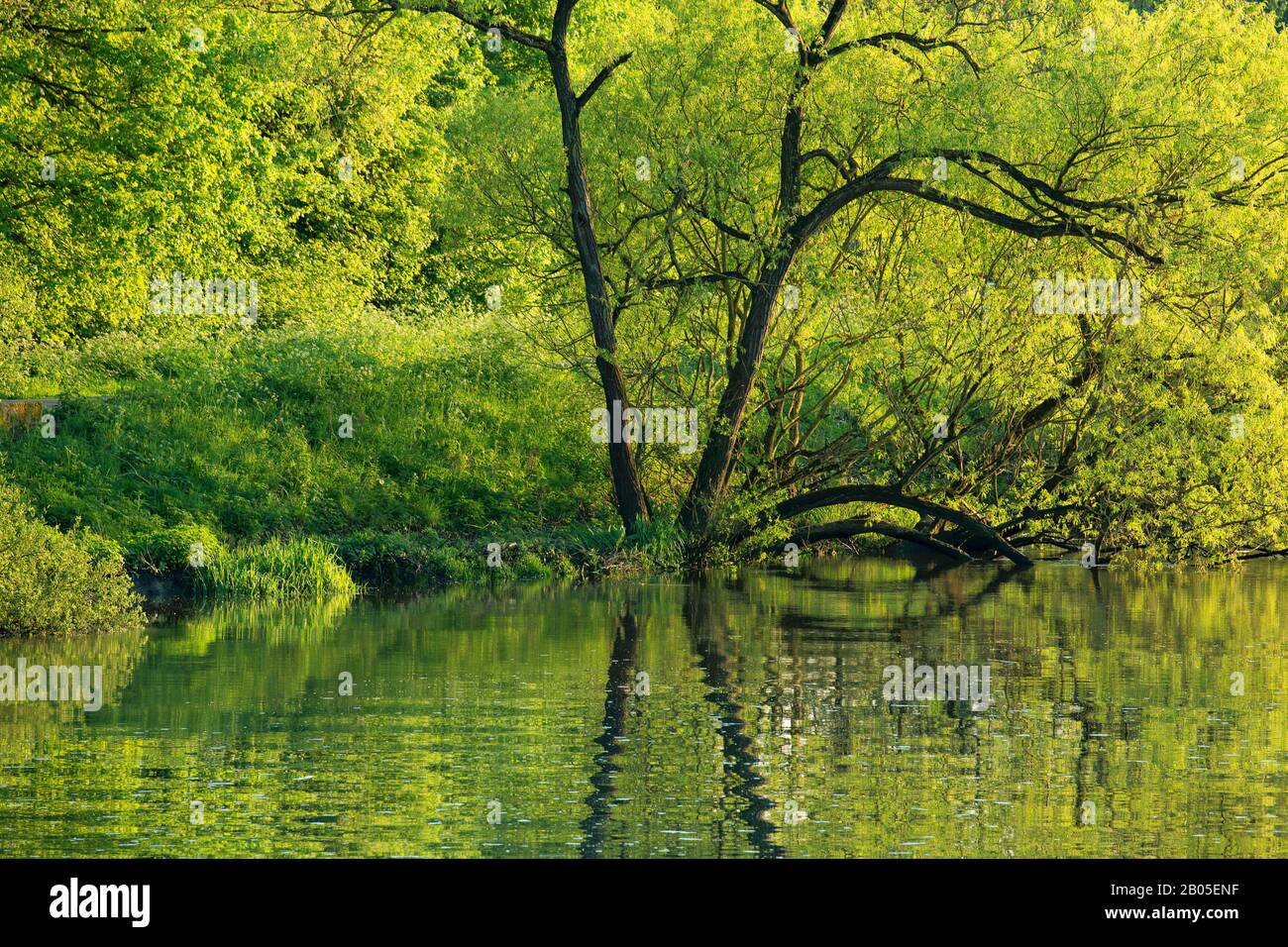 Tielrode hi-res stock photography and images - Alamy