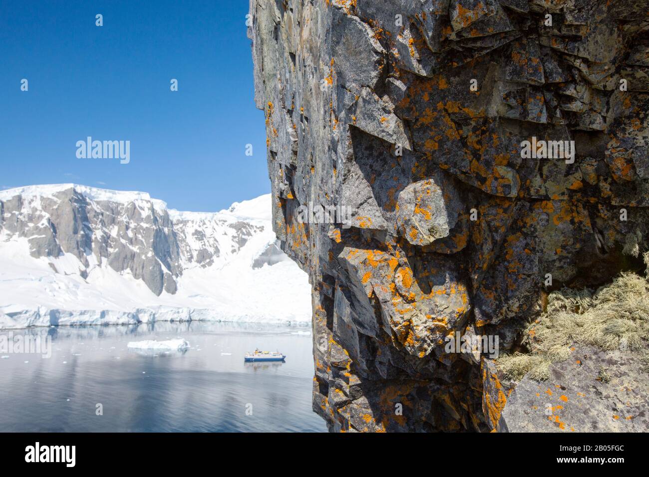 The Ocean Nova an expedition cruise ship off Orne harbour on the Danco ...
