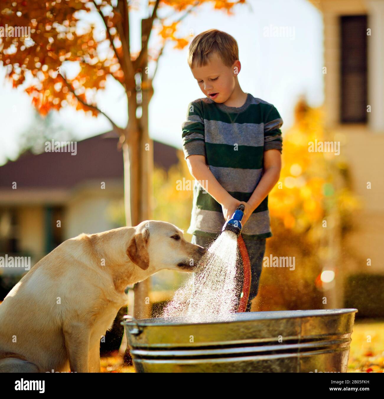Boy washing dog hi-res stock photography and images - Alamy