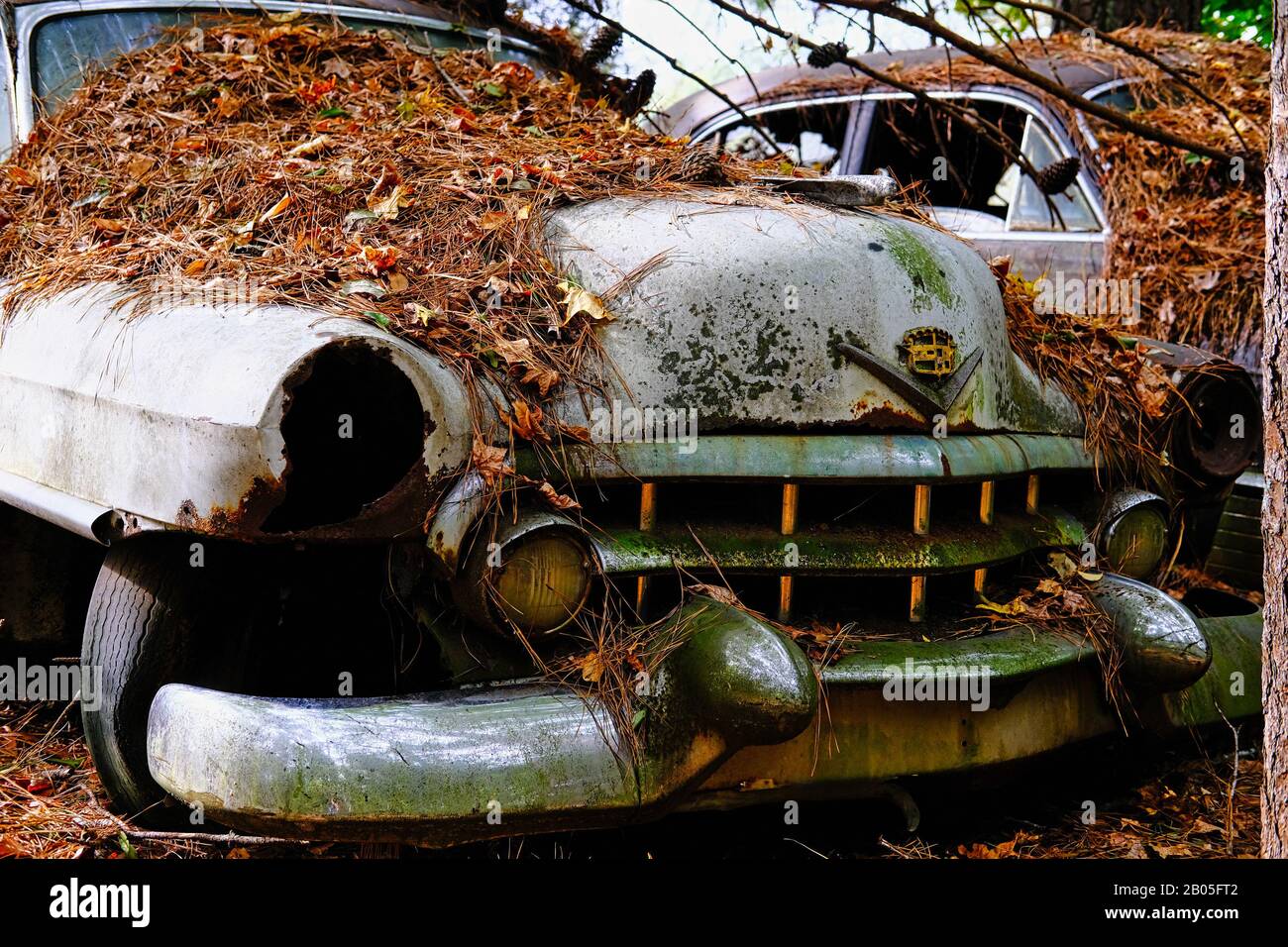 Abandoned cadillac hi-res stock photography and images - Alamy