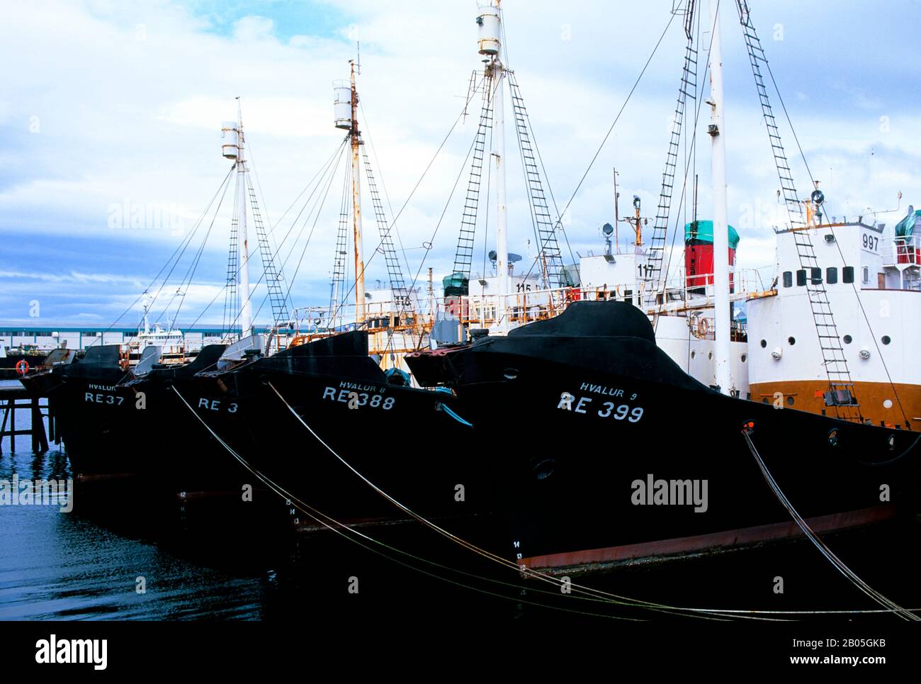 ICELAND, REYKJAVIK, HARBOR, WHALING BOATS Stock Photo - Alamy