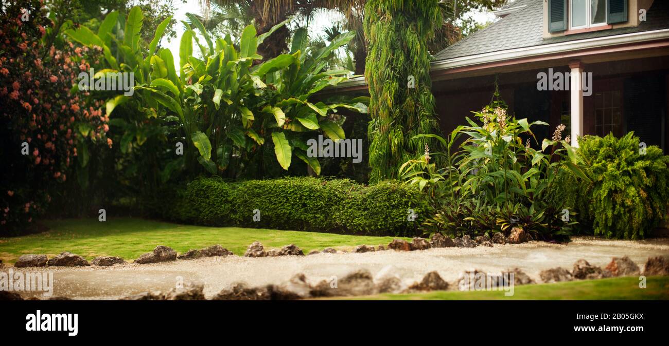 Garden path at a beach house Stock Photo - Alamy