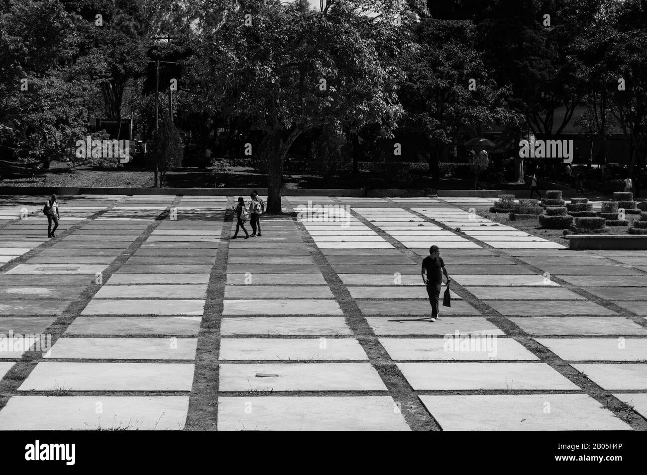 San carlos university Black and White Stock Photos & Images - Alamy