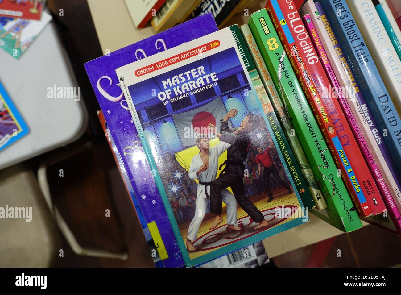 choose-your-own-adventure-book-master-of-karate-stock-photo-alamy