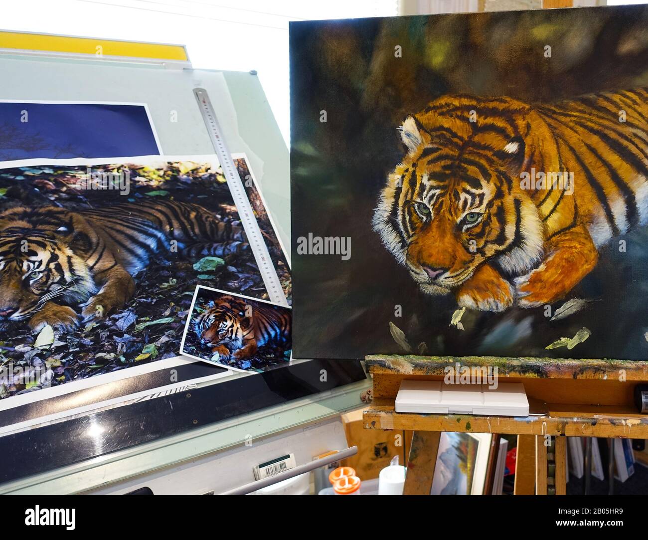 Oil painting of a Tiger , with reference photos in shot. Photos and ...