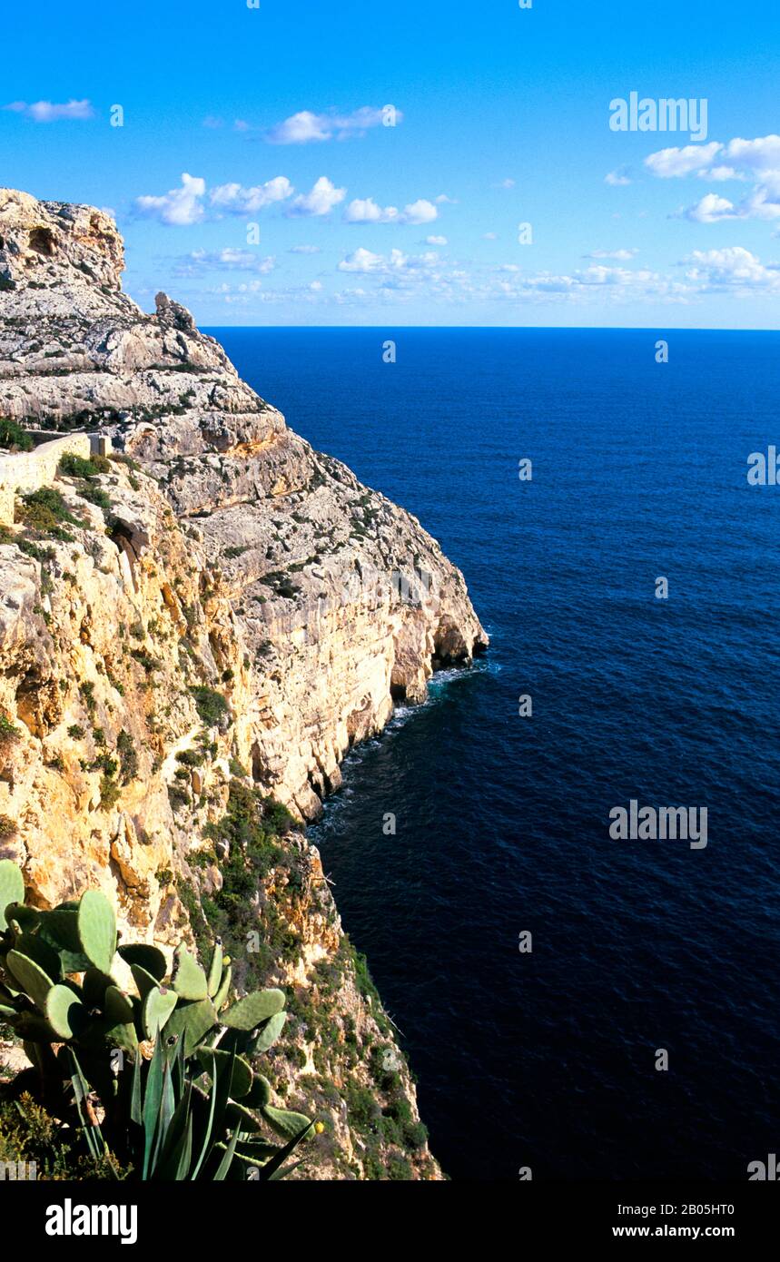 Rock cactus hi-res stock photography and images - Alamy