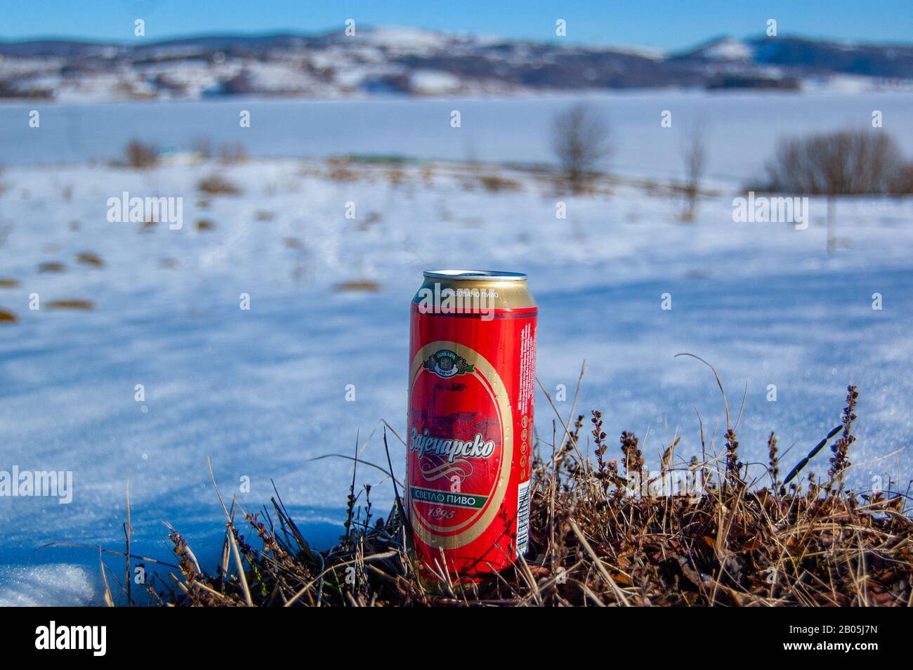 Cold bear hi-res stock photography and images - Alamy