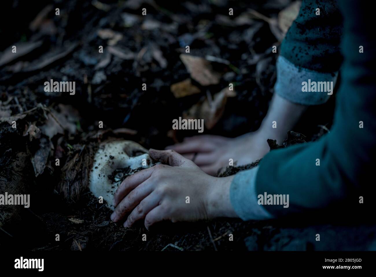 RELEASE DATE: February 21, 2020 TITLE: Brahms: The Boy ll STUDIO: STX ...