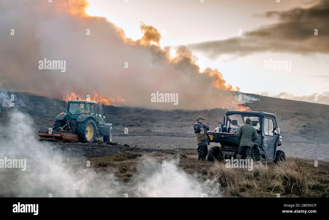 Burning heather in the Yorkshire Dales, England, UK Stock Photo - Alamy