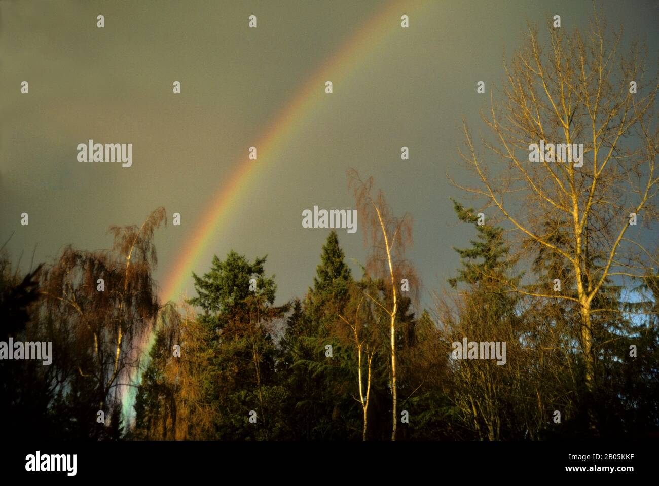 Rainbow usa hi-res stock photography and images - Alamy