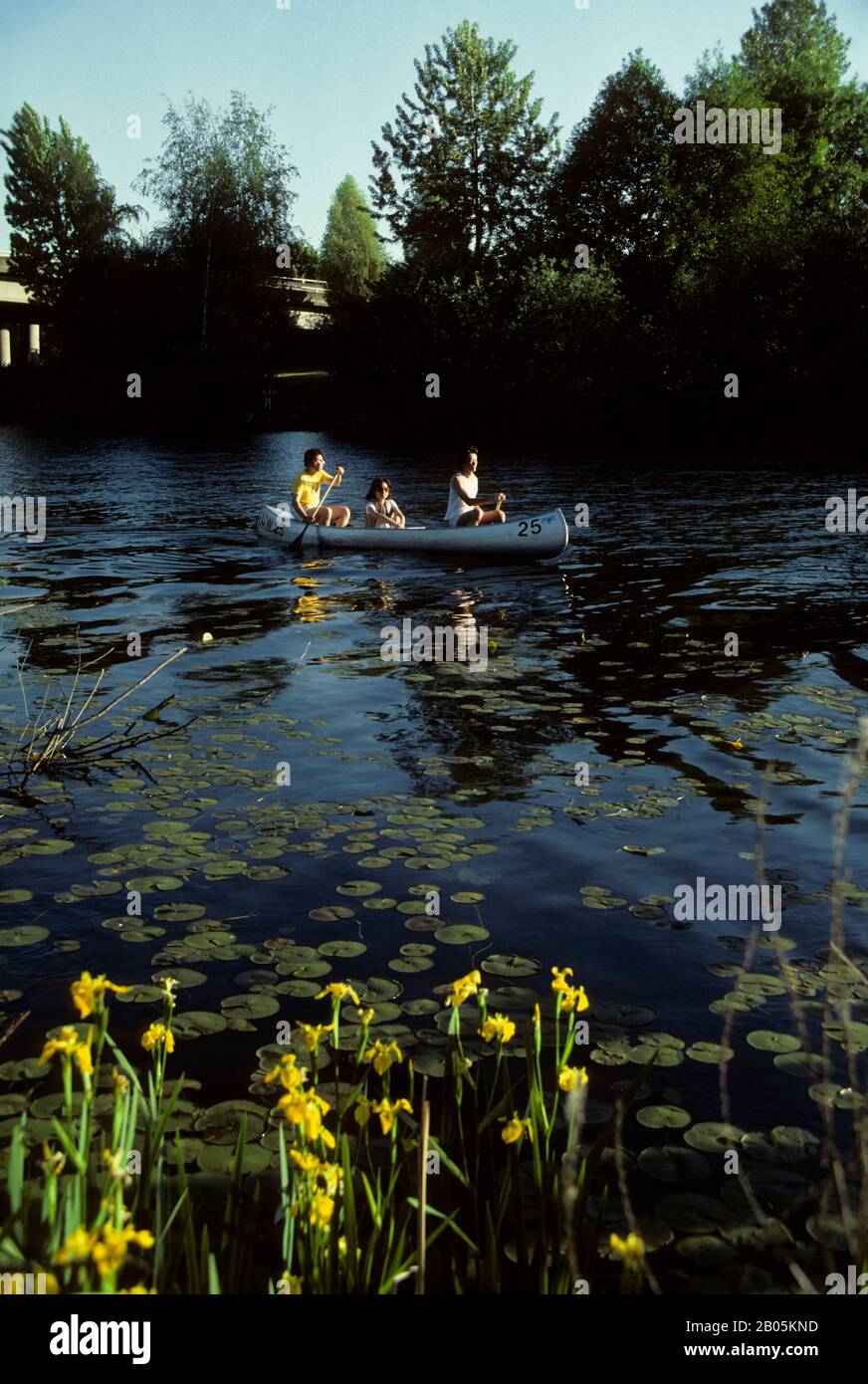 Seattle arboretum usa lake hi-res stock photography and images - Alamy