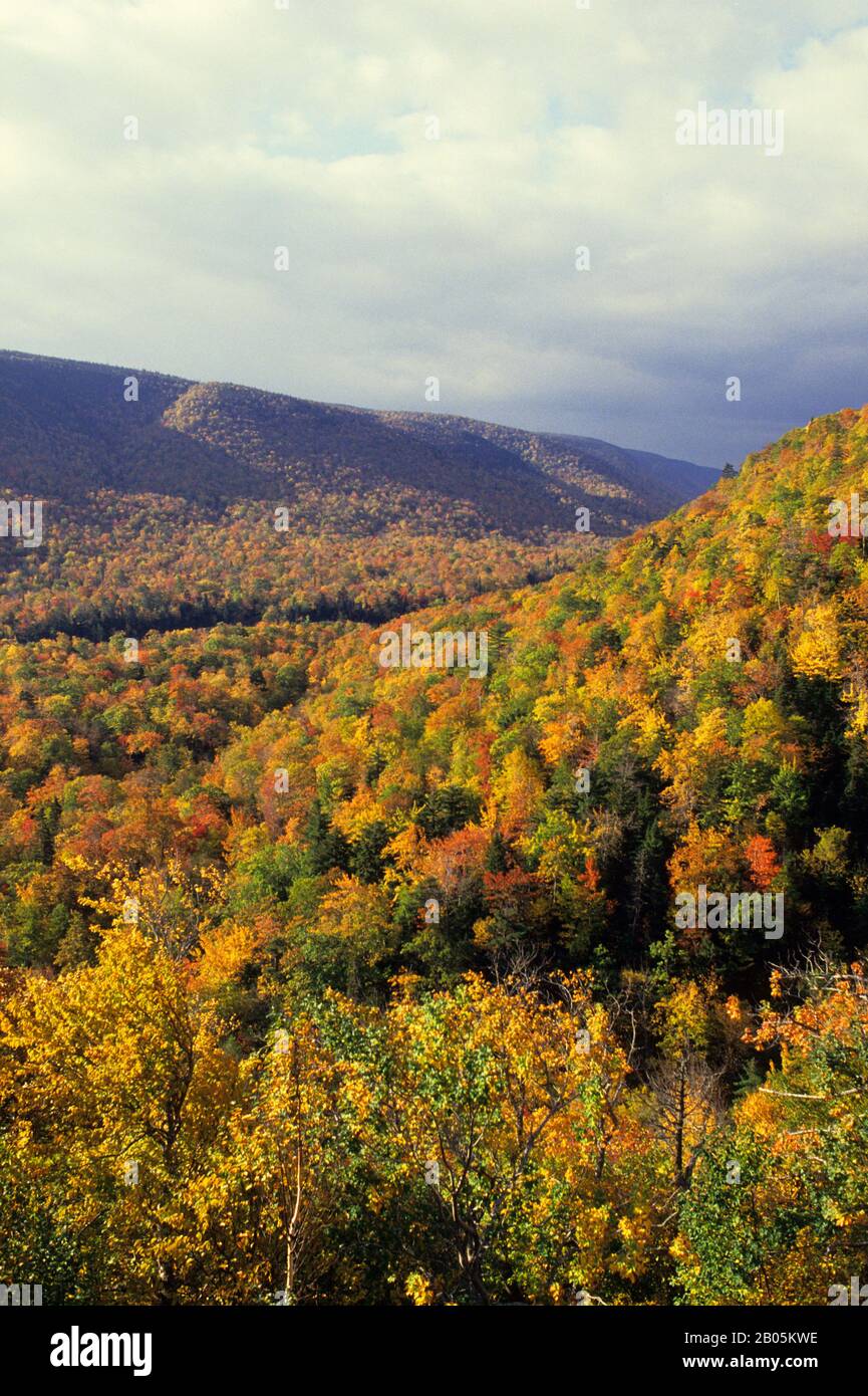 Fall colors at cape breton hi-res stock photography and images - Alamy