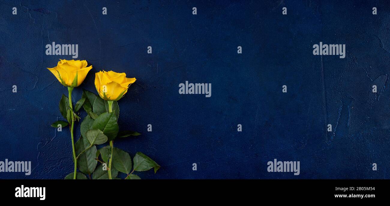 Phantom blue color and yellow roses on vintage background Stock Photo ...