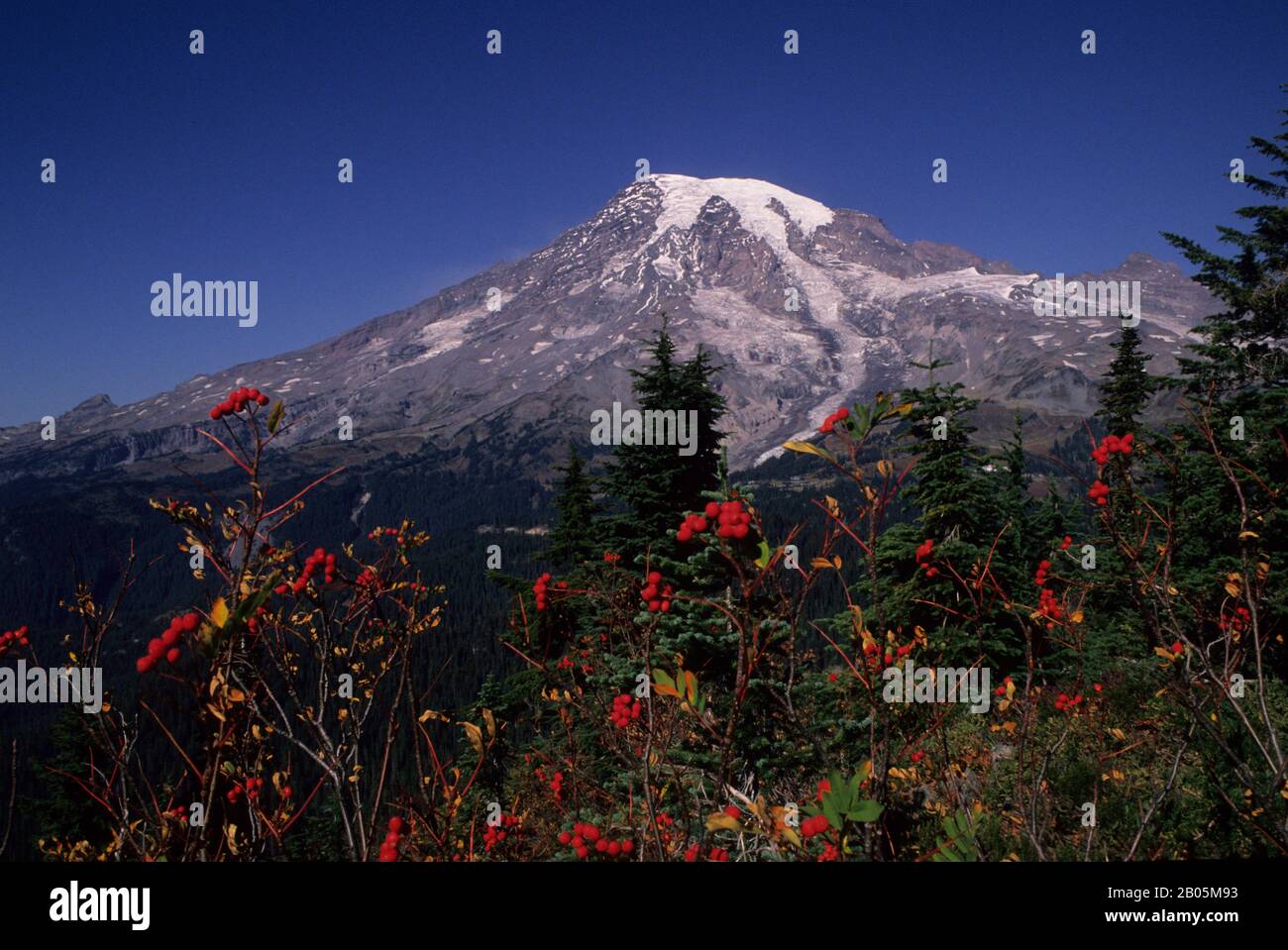 USA, WASHINGTON, MT.RAINIER NATIONAL PARK, MT. RAINIER WITH WESTERN ...