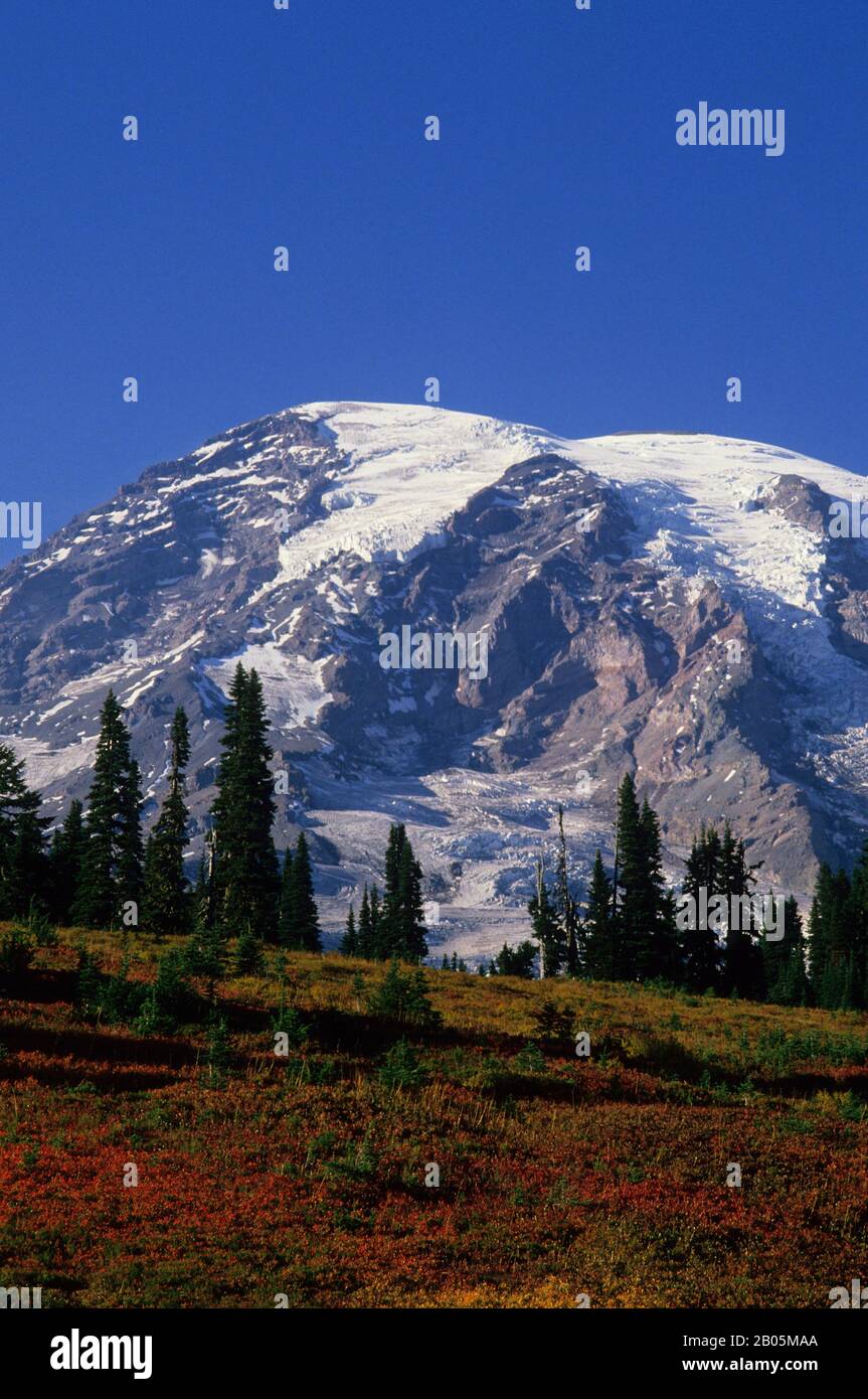 Washington mt rainier hi-res stock photography and images - Alamy
