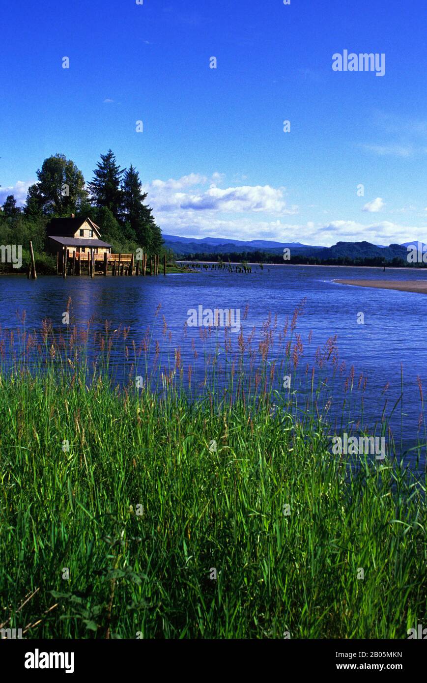 USA, SOUTHWEST WASHINGTON, SKAMOKAWA, COLUMBIA RIVER IN BACKGROUND ...