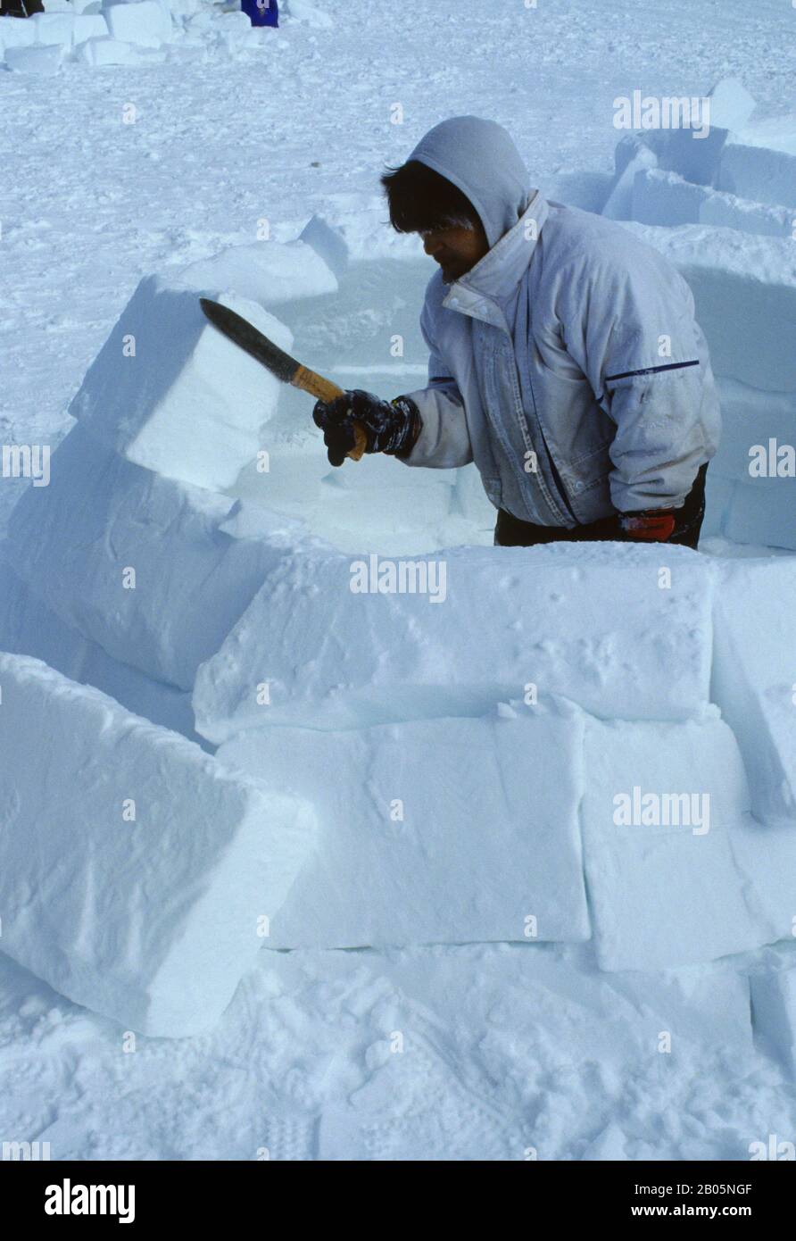 CANADA, N.W.T., IQALUIT, TOONIK TYME FESTIVAL, IGLOO BUILDING CONTEST ...