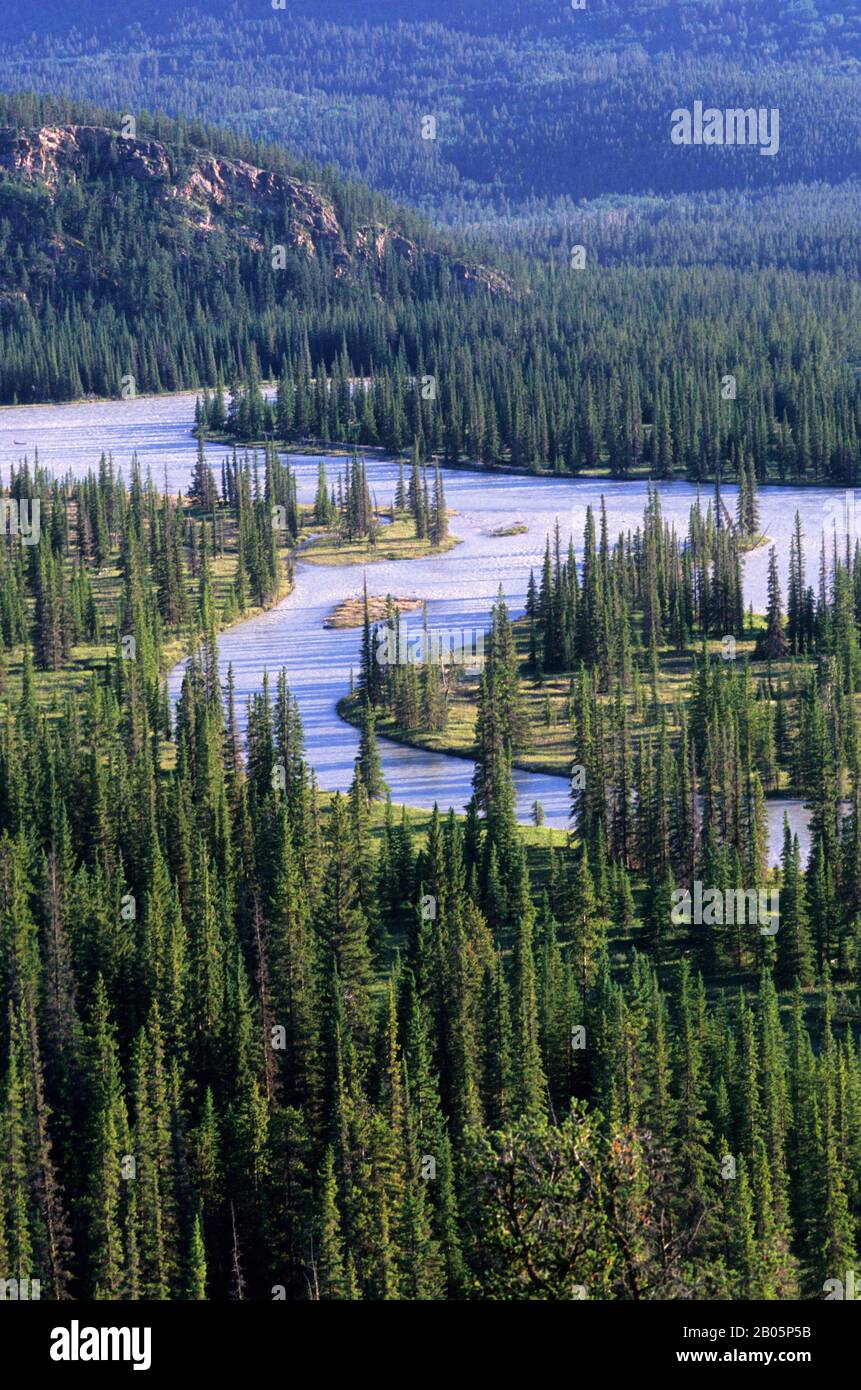 CANADA,ALBERTA,ROCKY MOUNTAINS, JASPER NATIONAL PARK, SUNWAPTA RIVER ...