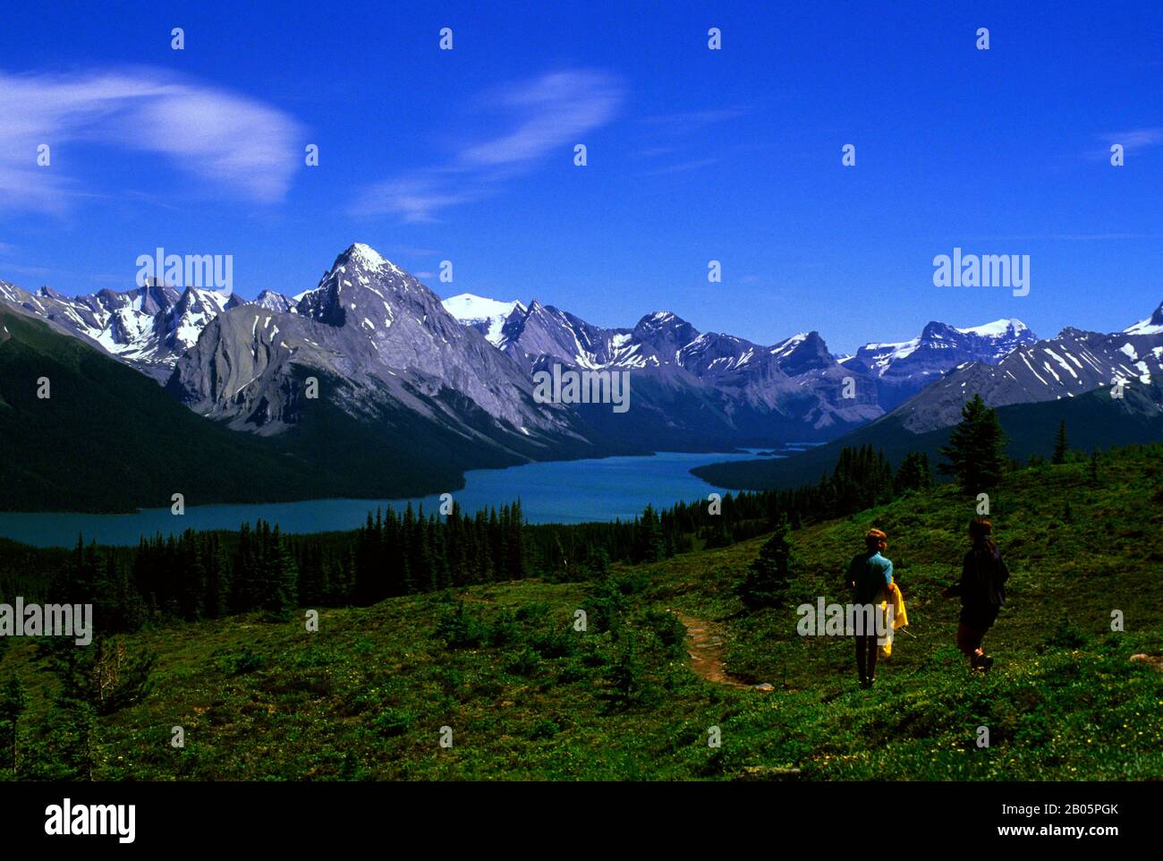 CANADA,ALBERTA,ROCKY MOUNTAINS, JASPER NATIONAL PARK, MALIGNE LAKE WITH ...