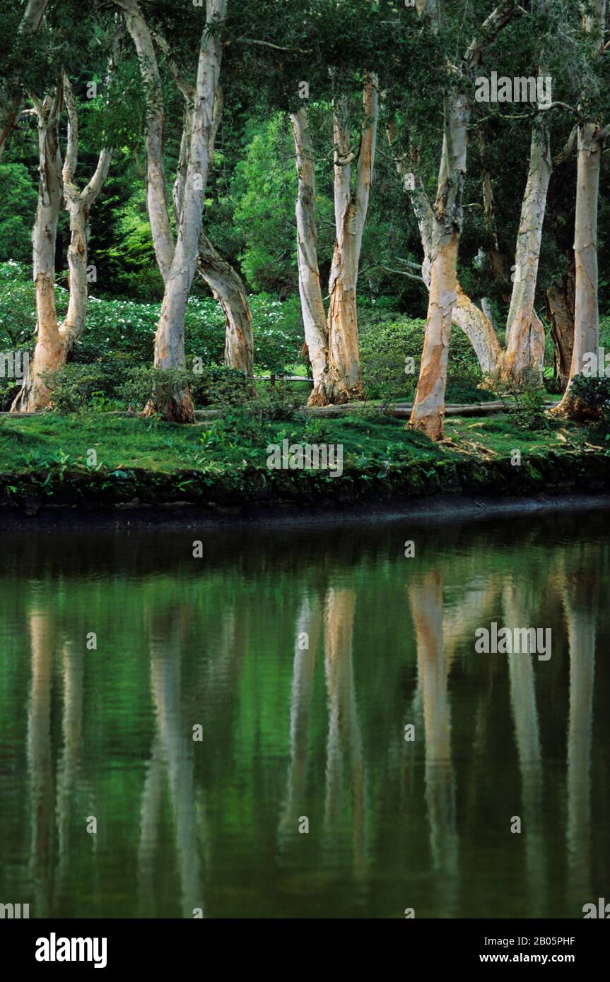 USA, HAWAII, OAHU, VALLEY OF THE TEMPLES, BYODO-IN TEMPLE GARDEN, PAPER ...