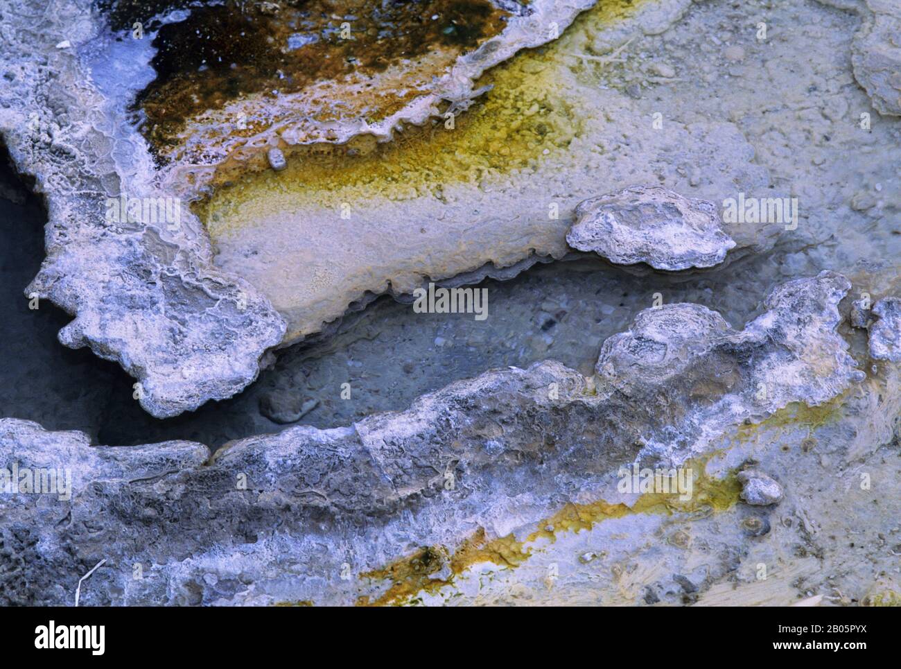 USA, WYOMING, YELLOWSTONE NATIONAL PARK, UPPER GEYSER BASIN, HOT SPRING ...